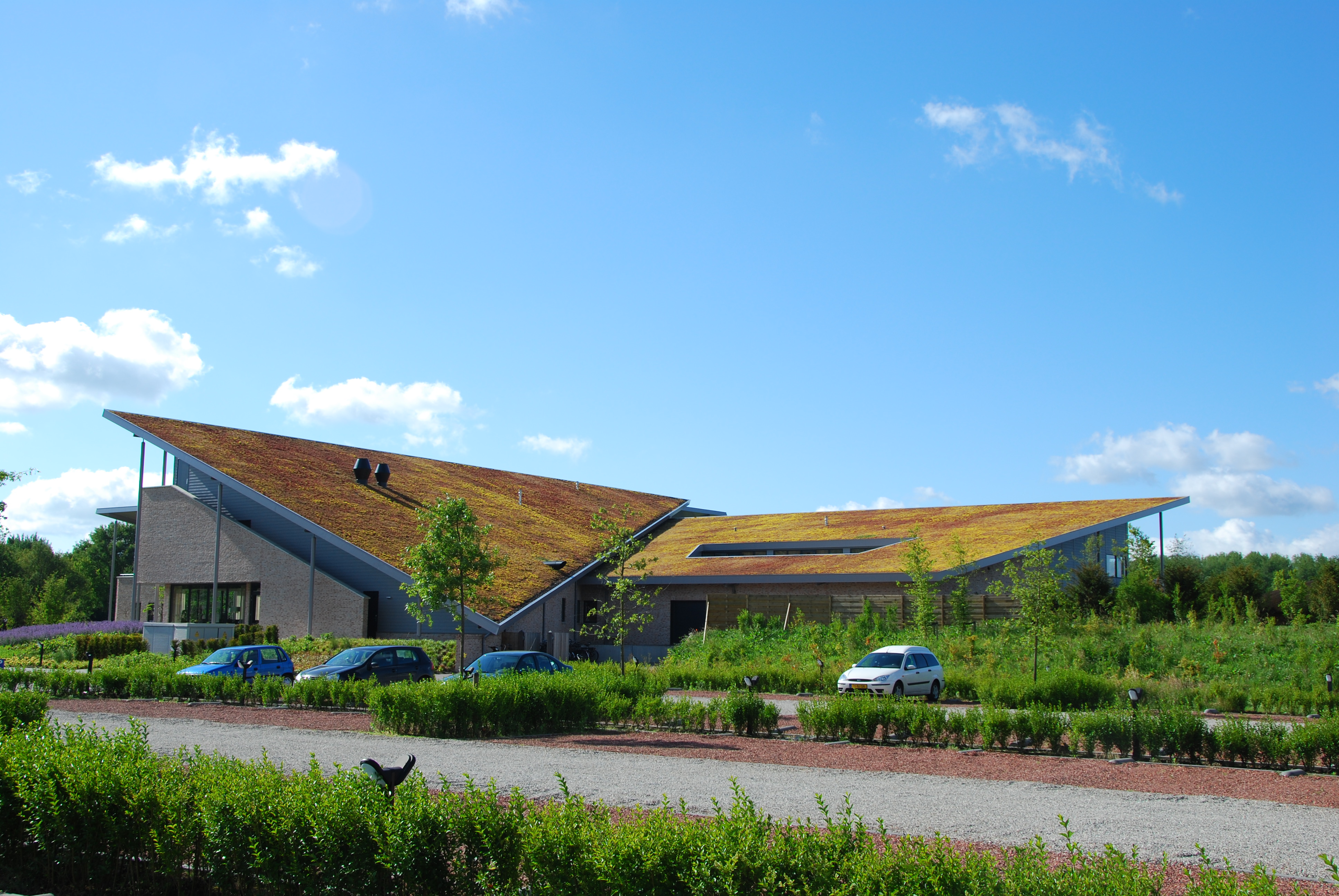 Sempergreen Green Roofs - Vereniging Bouwwerk Begroeners